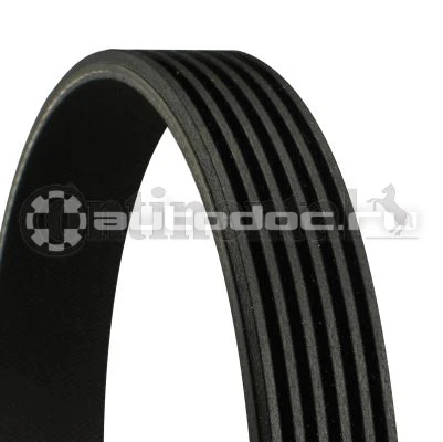 CONTITECH 6pk778elast - Ремень поликлиновой