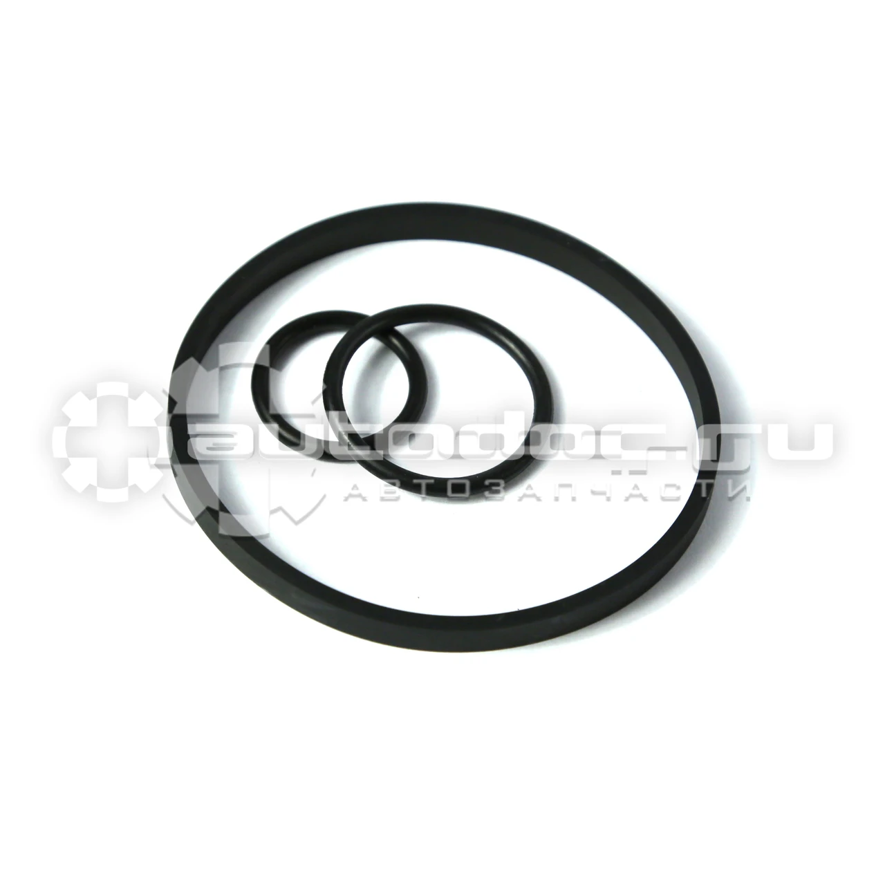 RENAULT 7701473629 - Прокладки