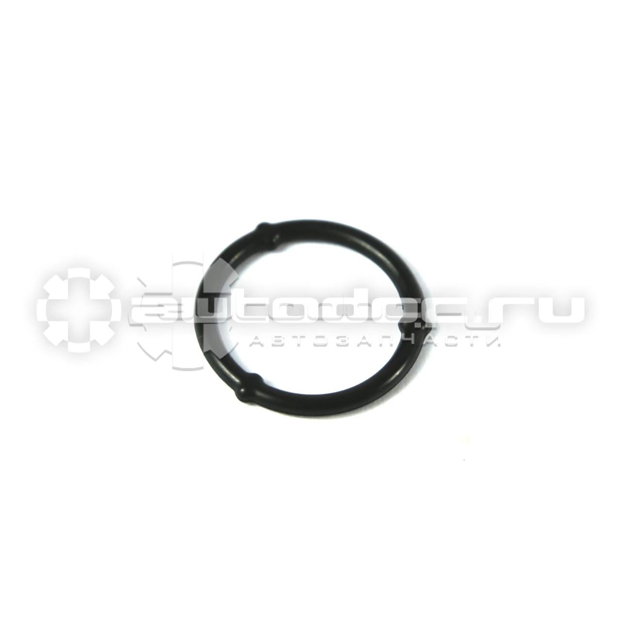 TOYOTA 1519331010 - Прокладка