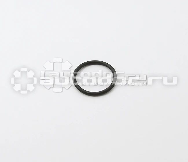 VAG 4e0121666 - Кольцо уплотнительное