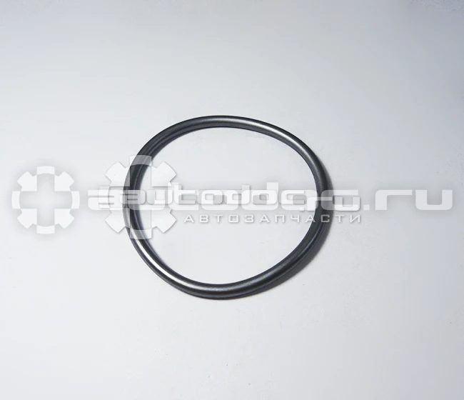 VAG n90617501 - Кольцо уплотнительное