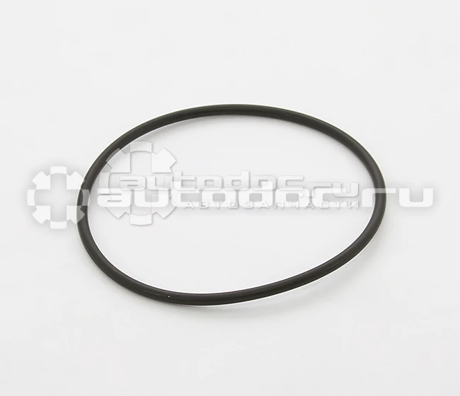 VAG n91095601 - Кольцо уплотнительное